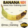 ripe banana vs unripe | MSV Training